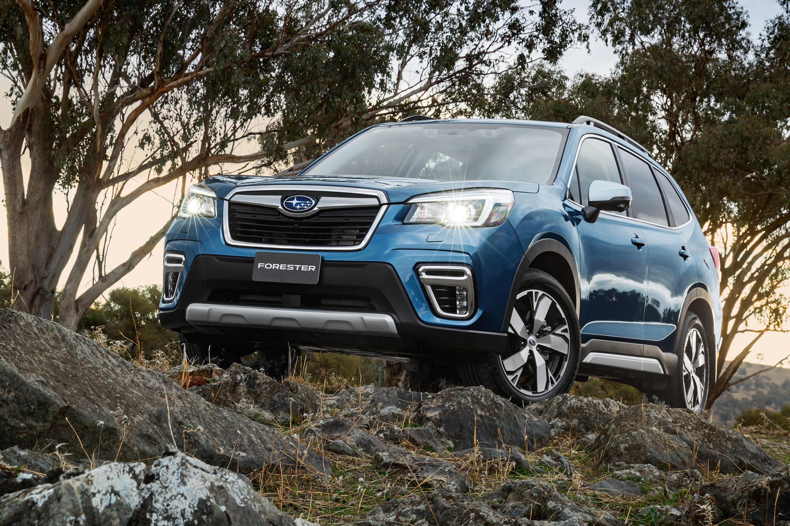 Turn your dream of owning a Subaru into reality this July - Car Deals
